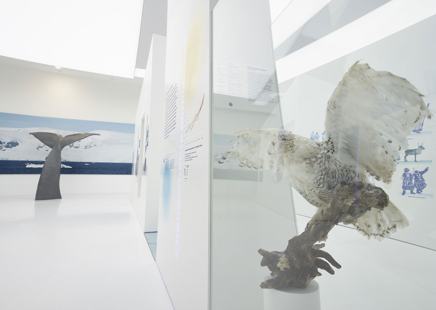 musée-baltik-3 - Espace des Mondes Polaires