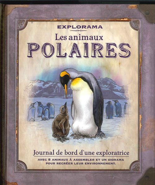 Les animaux polaires - Espace des Mondes Polaires